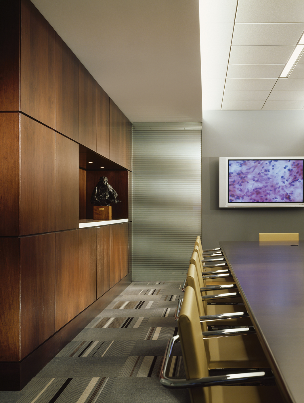 American Society for Clinical Pathology Office… | Epstein