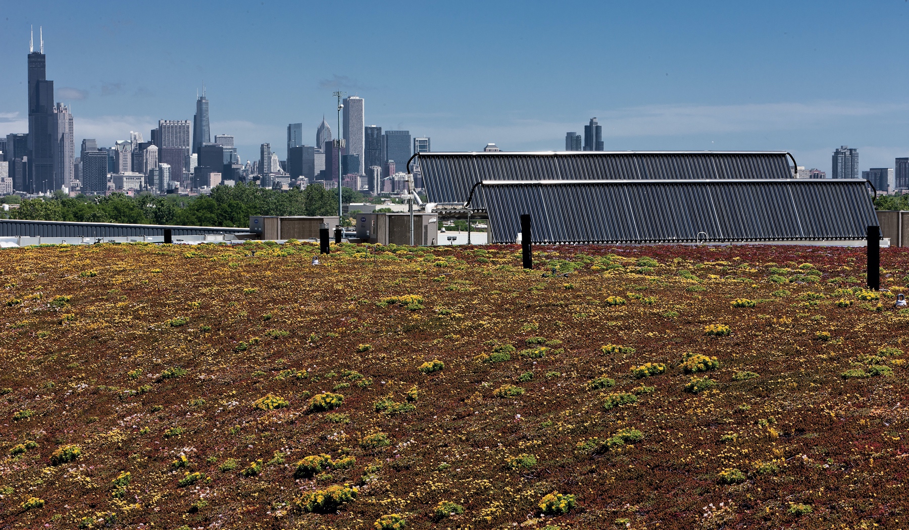 Testa Produce, Inc. Headquarters and Produce Distribution… | Epstein